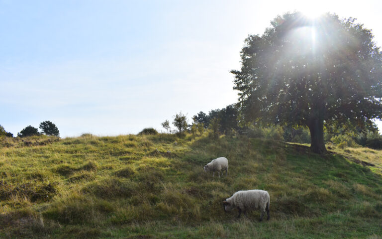 Hundested | Mit Halsnæs